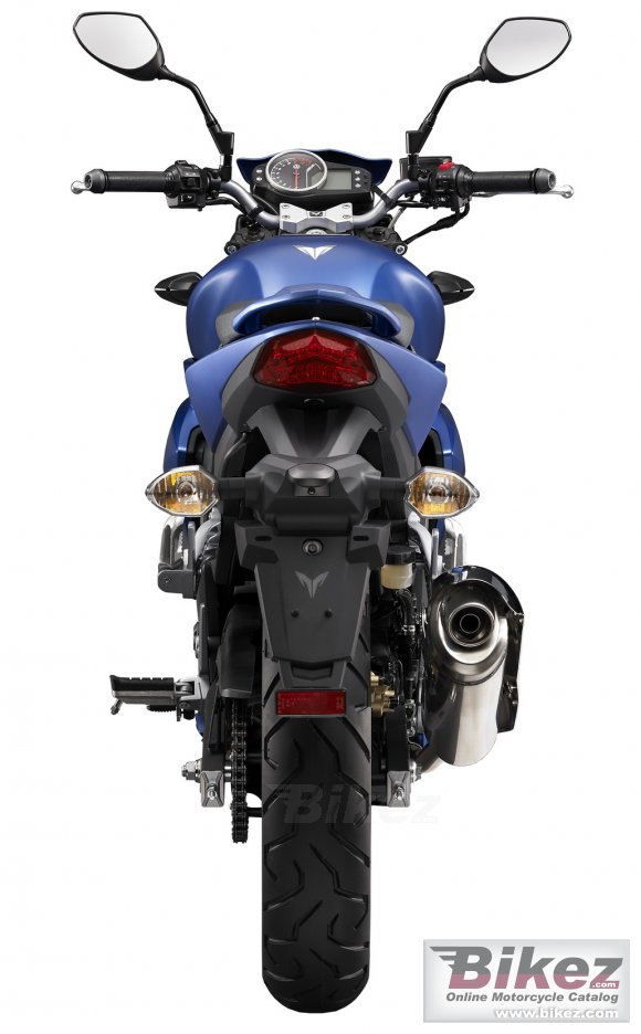 Sym Wolf SB250Ni gallery